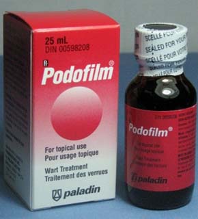 PDC Online Store - Log On